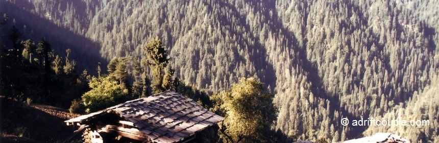 Fall in love – with Shoja in the Seraj Valley (Himachal Pradesh ...