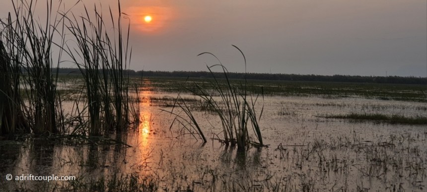 Mangalajodi – from a poaching village to a conservation site | Adrift ...