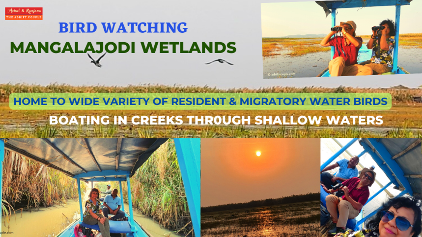 Mangalajodi – from a poaching village to a conservation site | Adrift ...